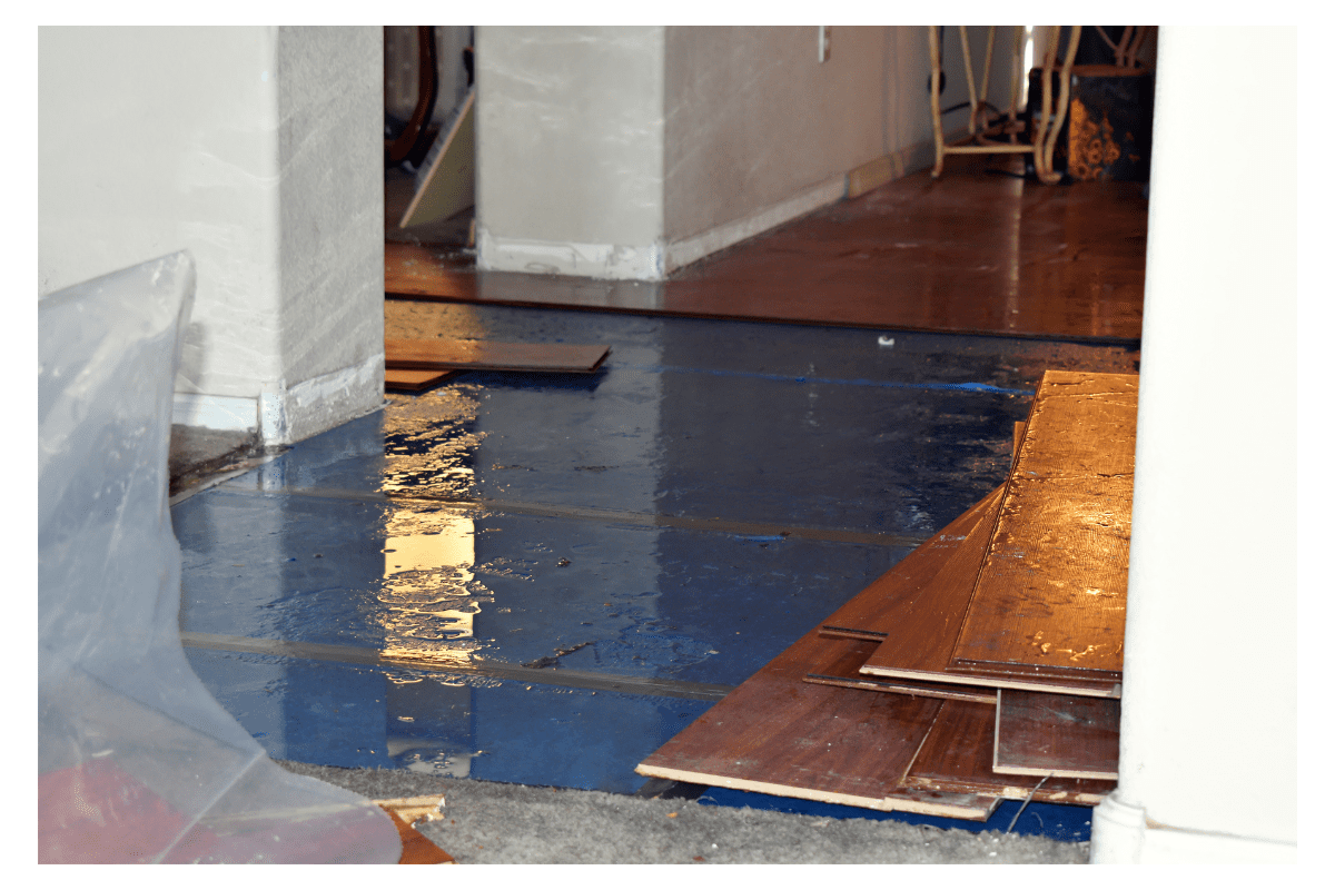 Flood Damage Cleanup | 24/7 Emergency Flood Restoration | San Diego, CA